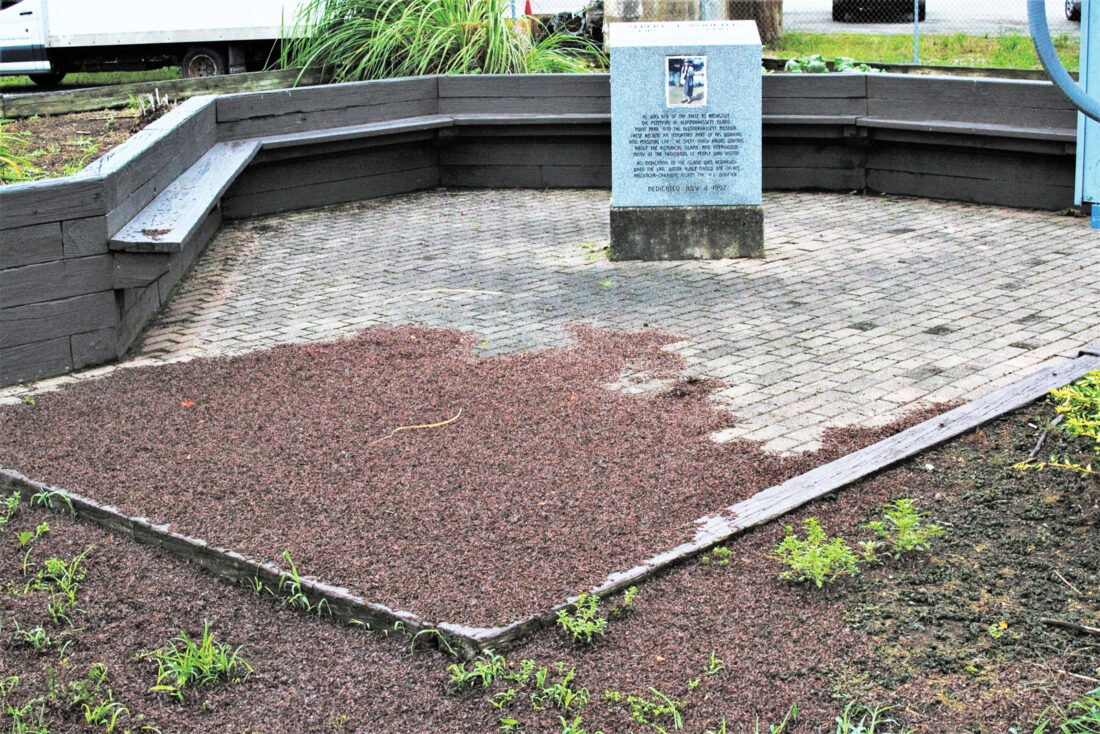 Picture This: This One May Bug You… | News, Sports, Jobs - News and ...